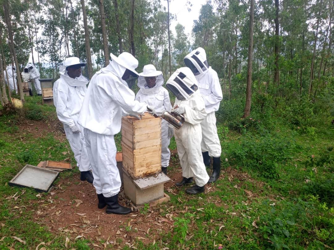 African Beekeeping Academy (ABEEA)
